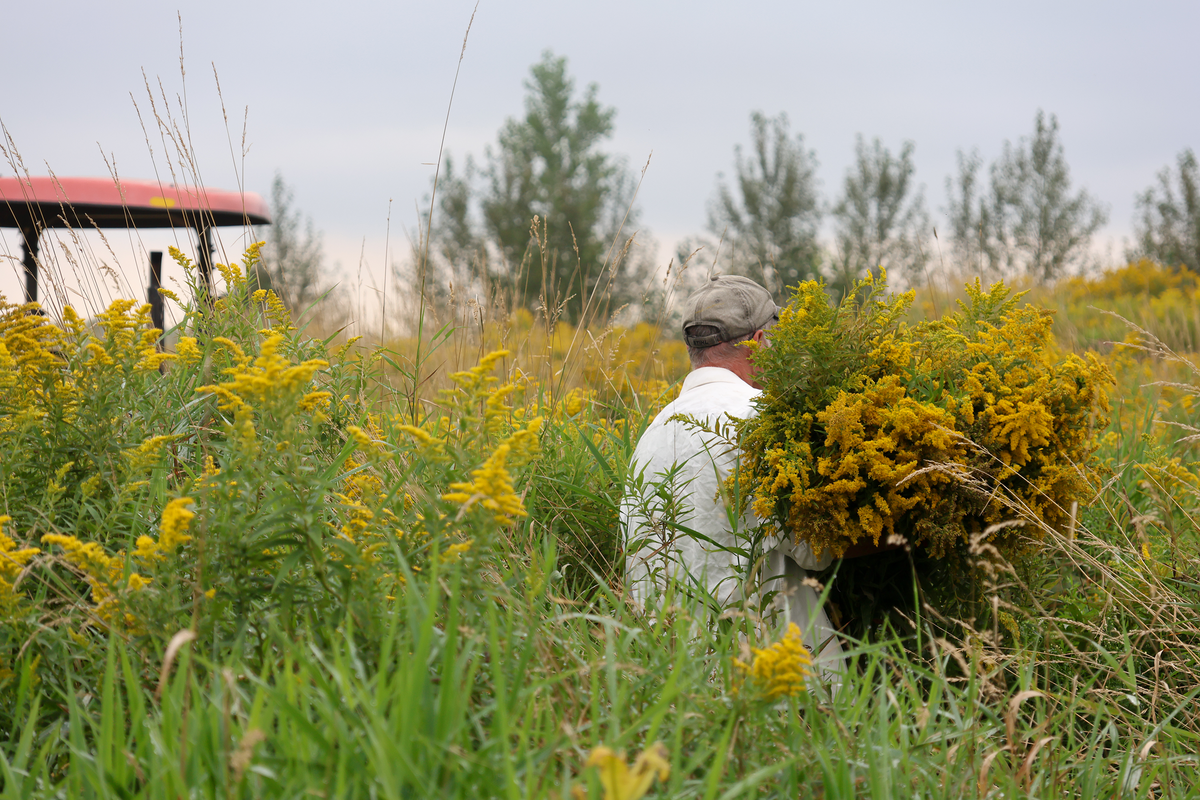 Aliksir | Organic essential oils – Aliksir Huiles Essentielles