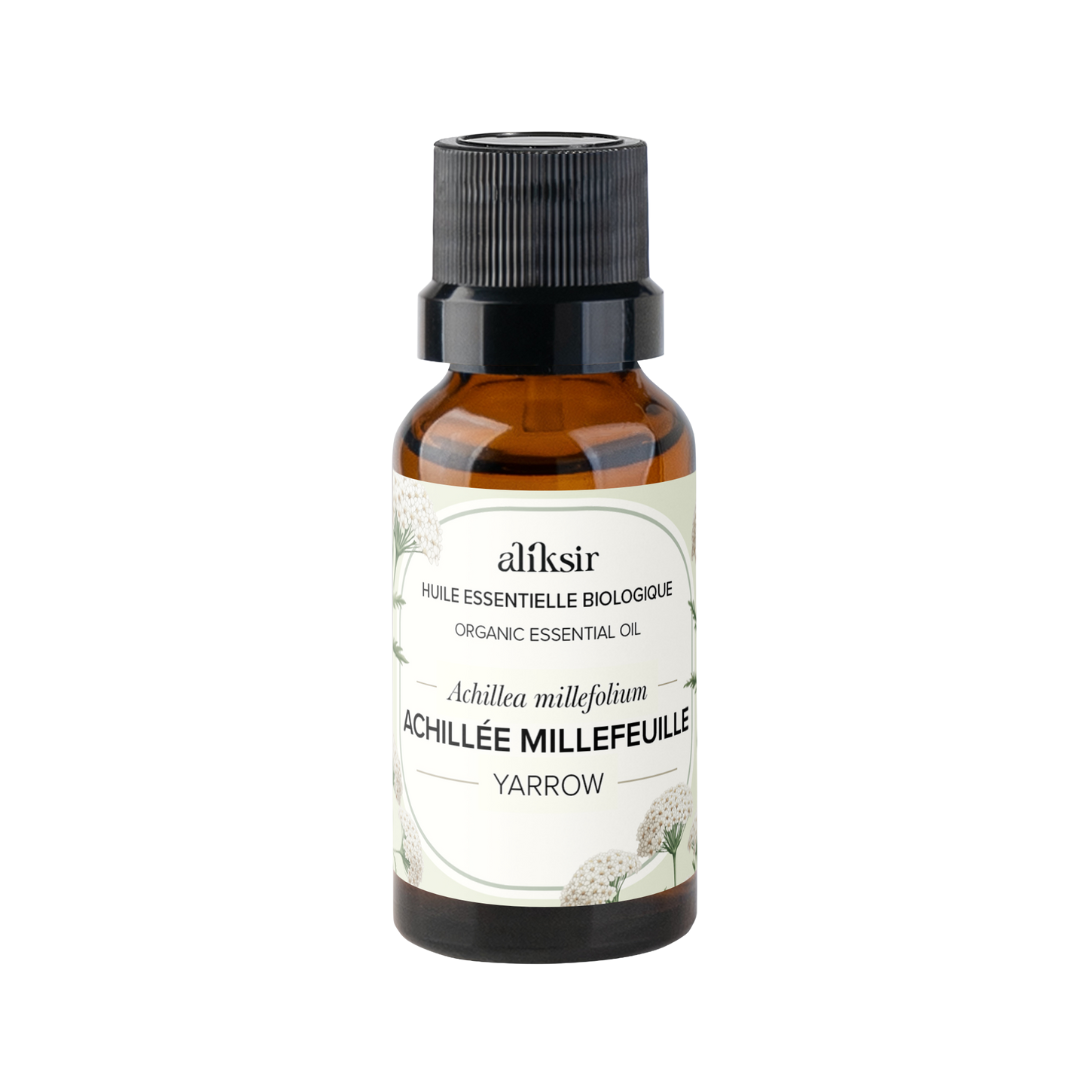 Yarrow (Achillea millefolium) - Organic Essential Oil – Aliksir Huiles ...