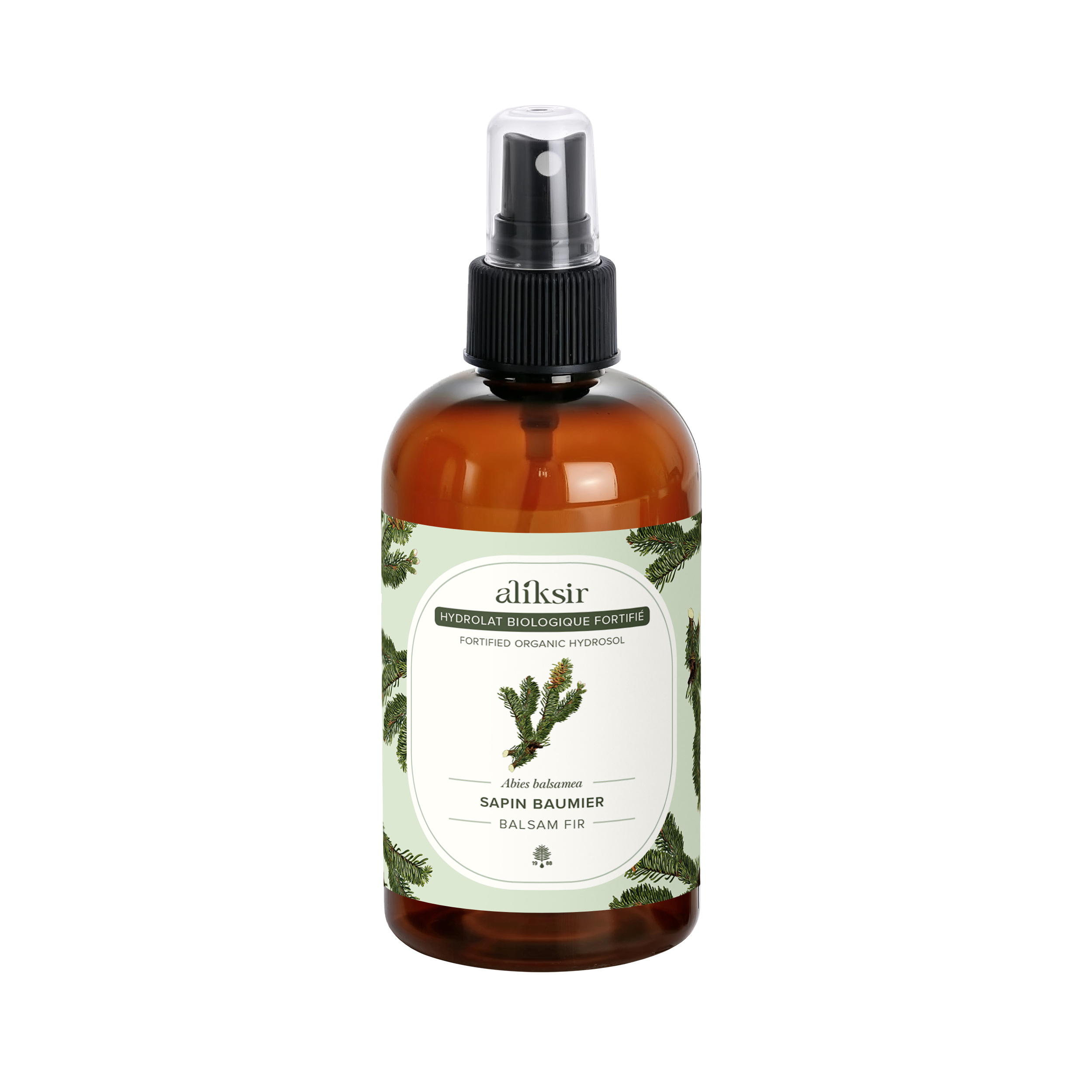 Balsam fir (Abies balsamea) - Organic hydrosol – Aliksir Huiles ...