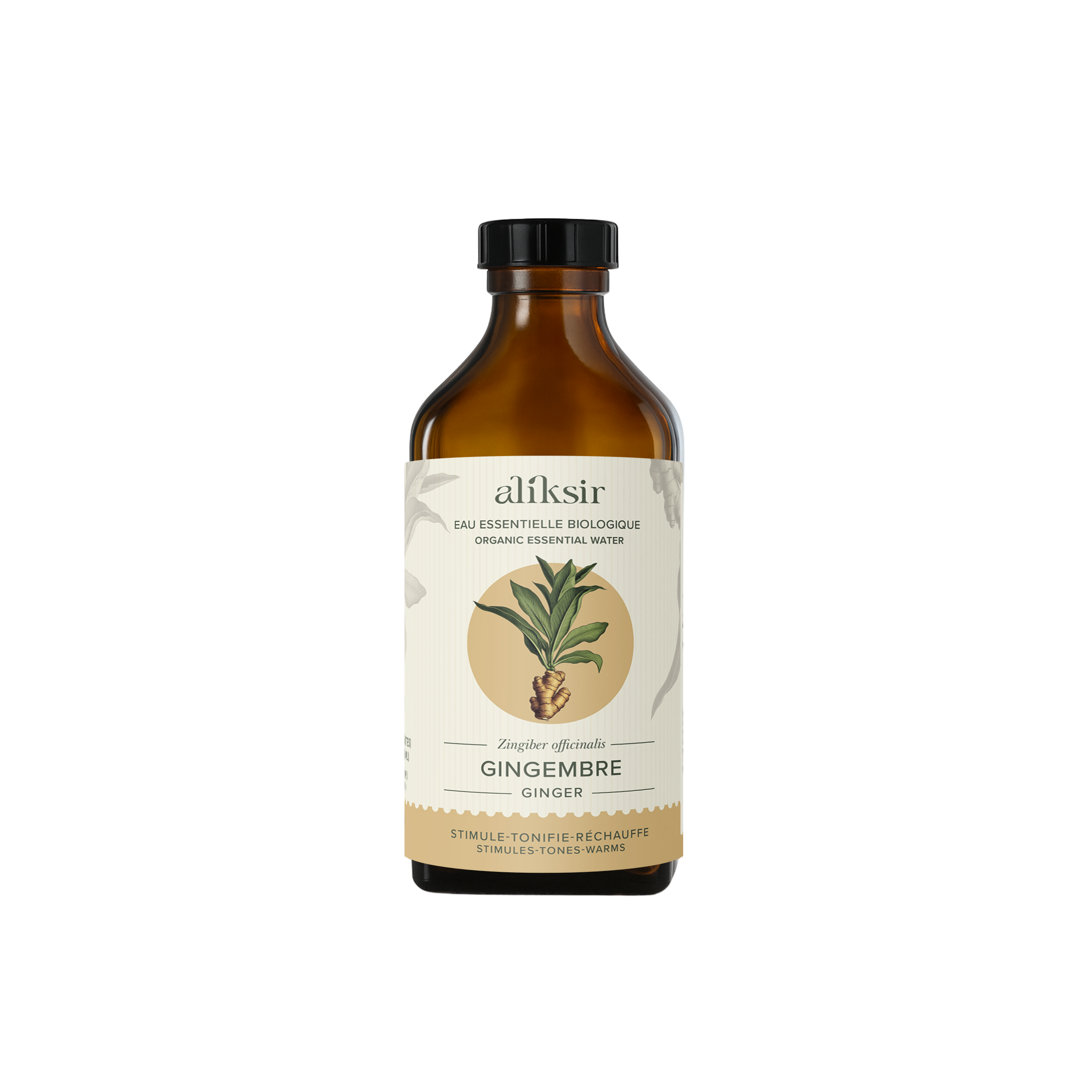 Ginger (Zingiber officinale) - Organic essential water – Aliksir Huiles ...